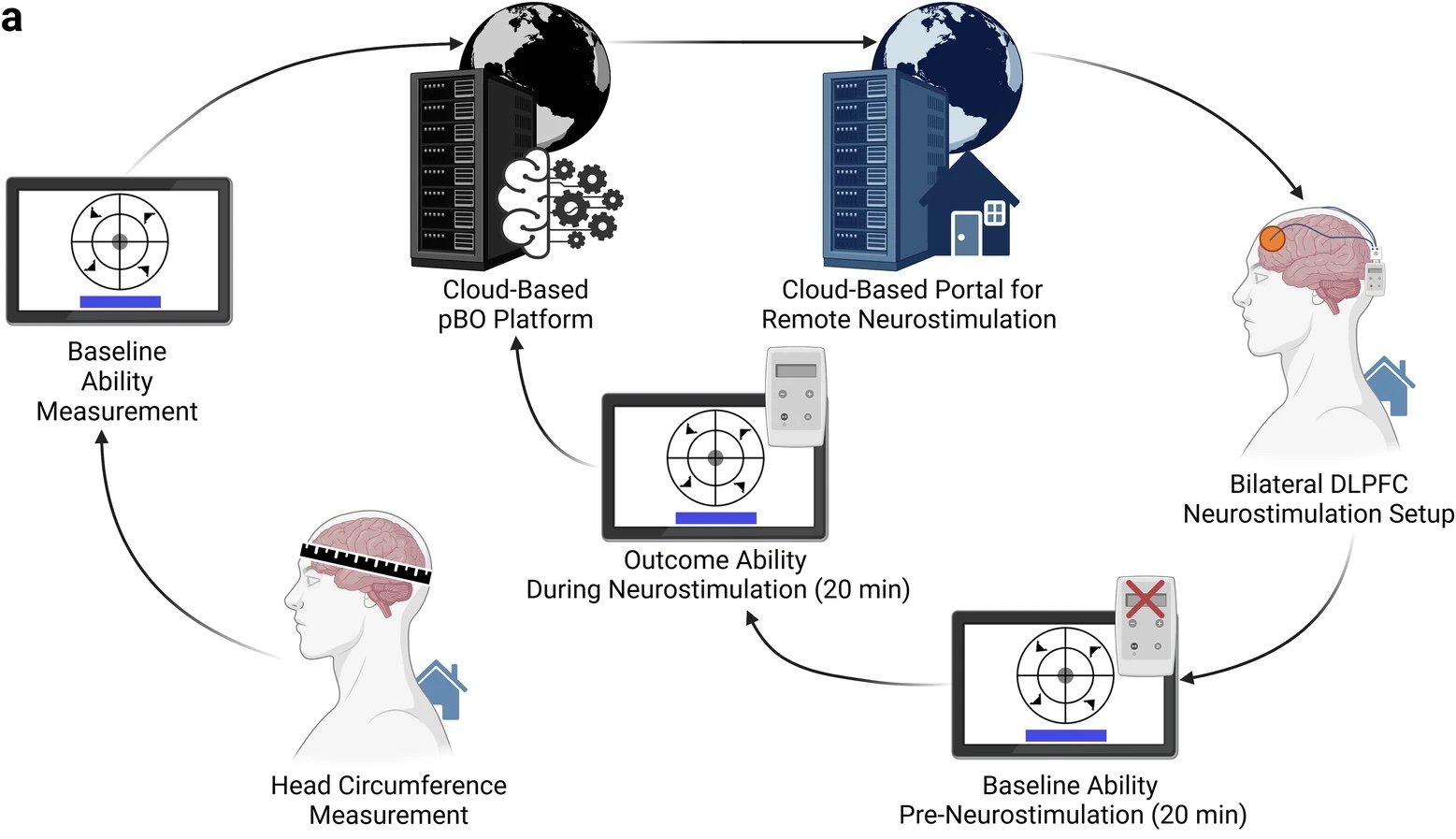 AI-Guided Brain Stimulation Boosts Focus Safely at Home - GizmoMD