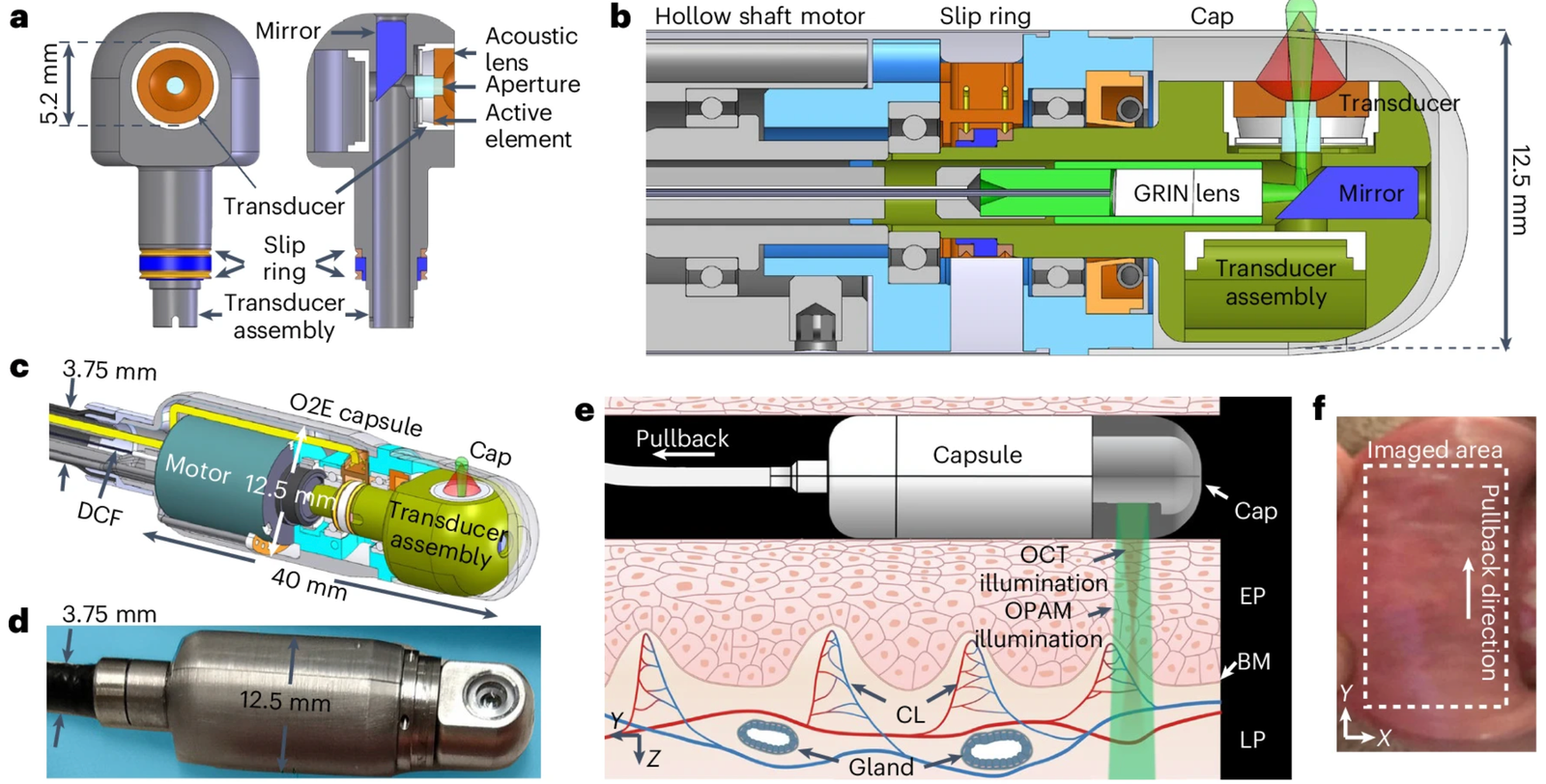 New Imaging Capsule Detects Esophageal Cancer Earlier and More ...