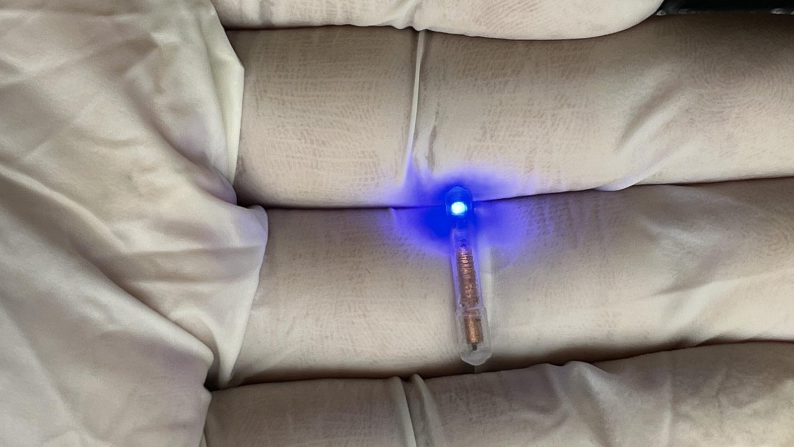 Wireless Light Capsule Reveals How Gut Neurons Control Digestion and ...