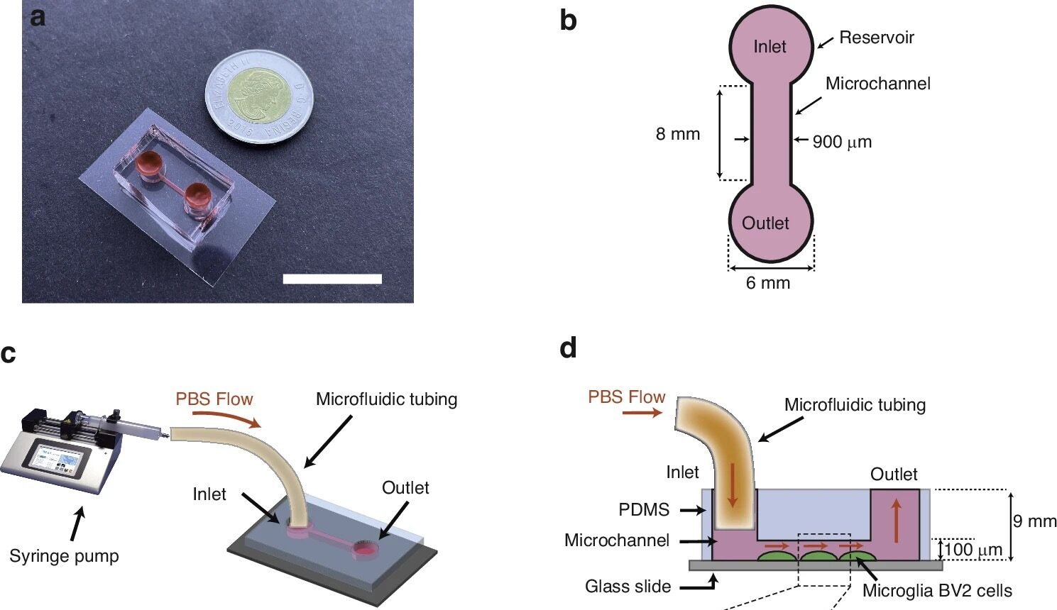 Microchip Tracks Alzheimer’s in Real Time - GizmoMD
