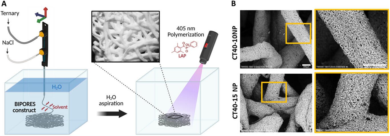 Scientists Create Fully Synthetic Brain Tissue Model for Neurological ...